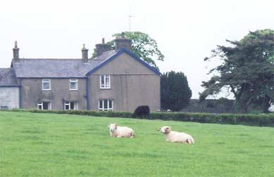 Wales Flora and Fauna